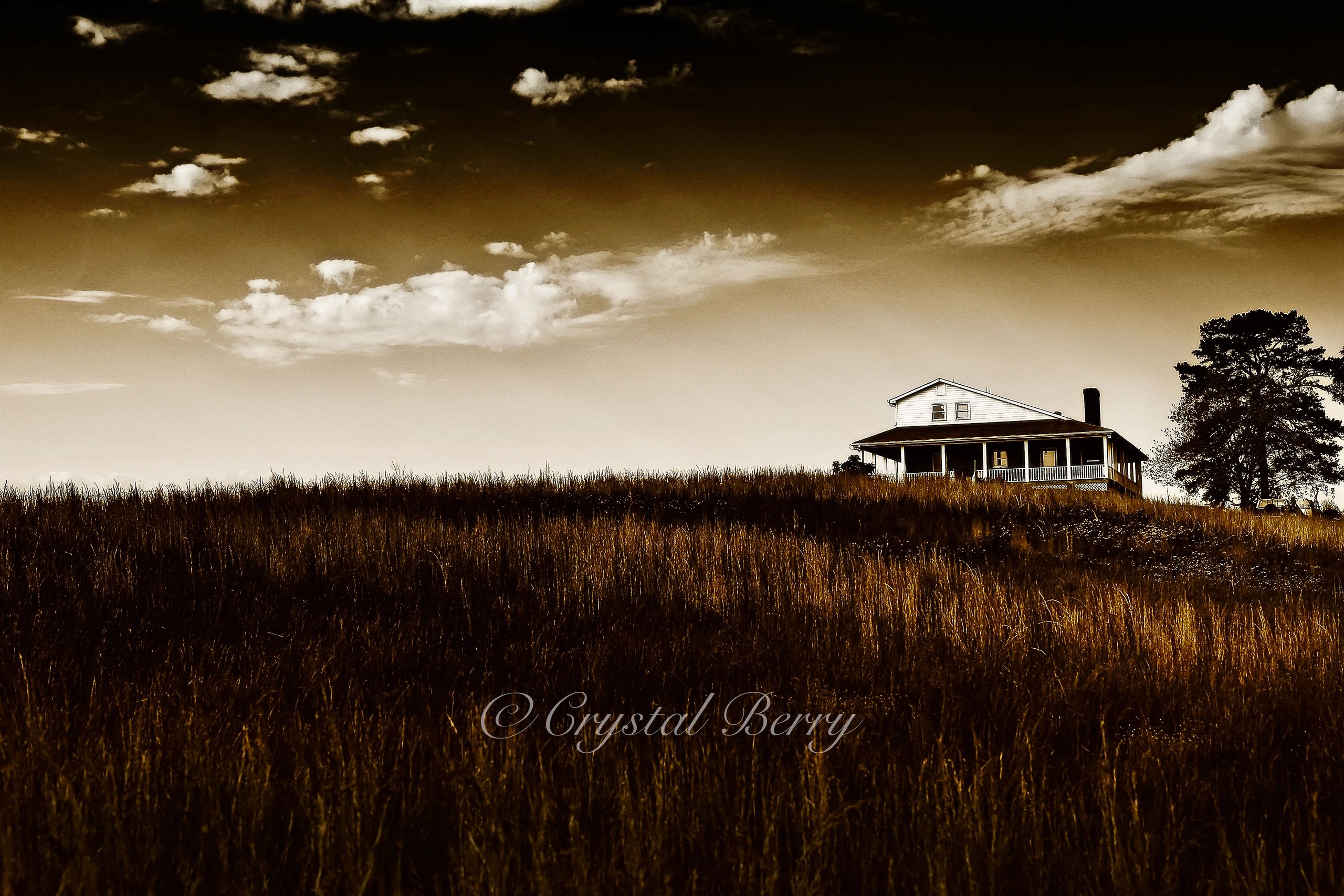 Crystal Berry Artist