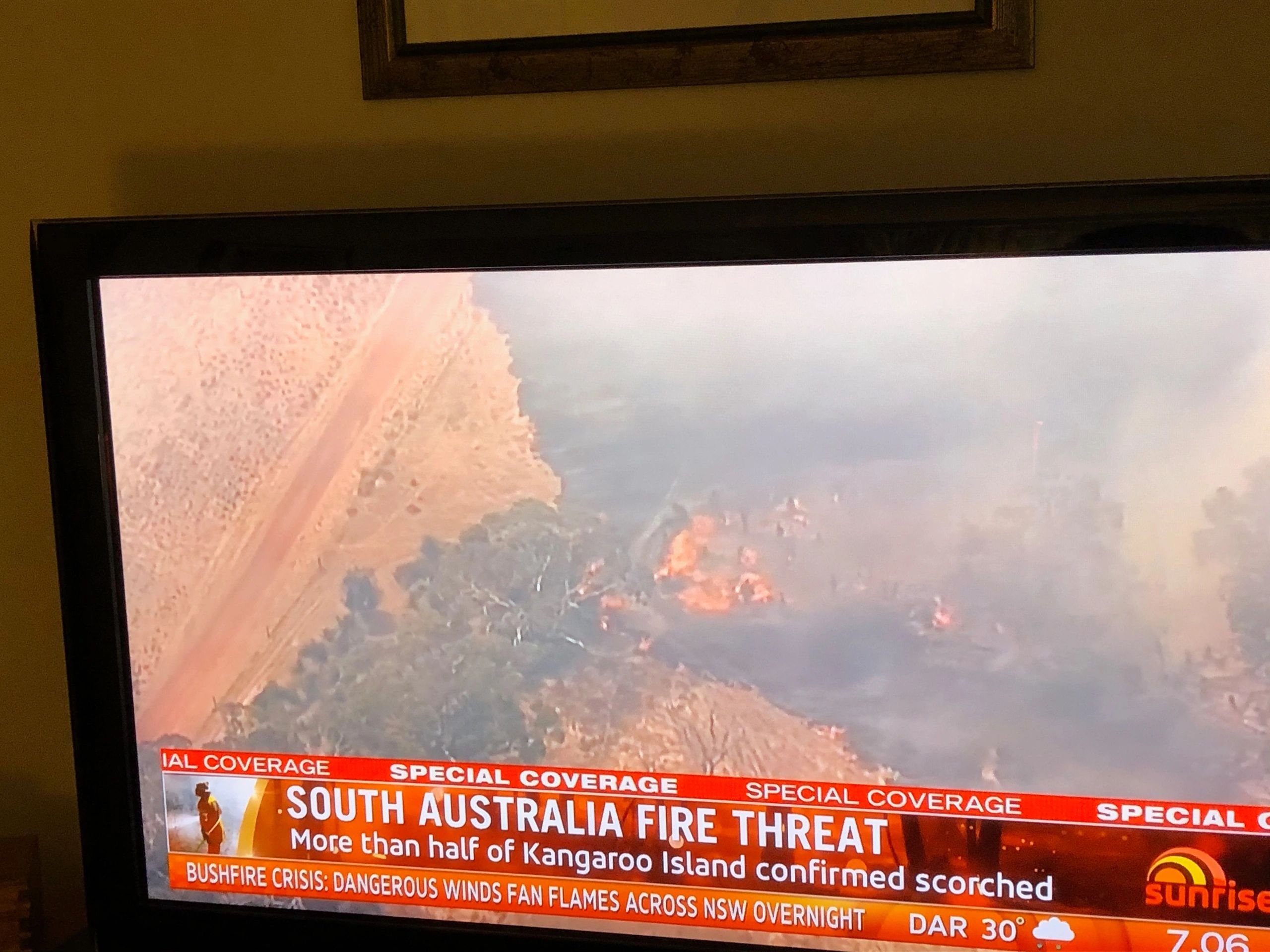 Coping with the emotional impact of the bushfire crisis