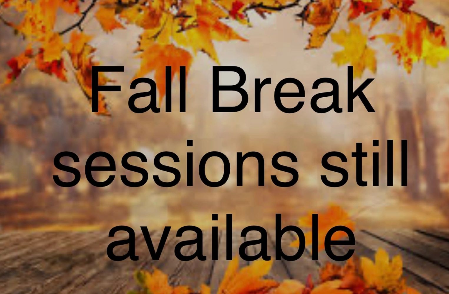 Arizona Driver Training Academy - Drivers Education, Driving School