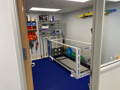 Emergency Vet, Veterinary, Physical Therapy for Your Pet - Archvet ...