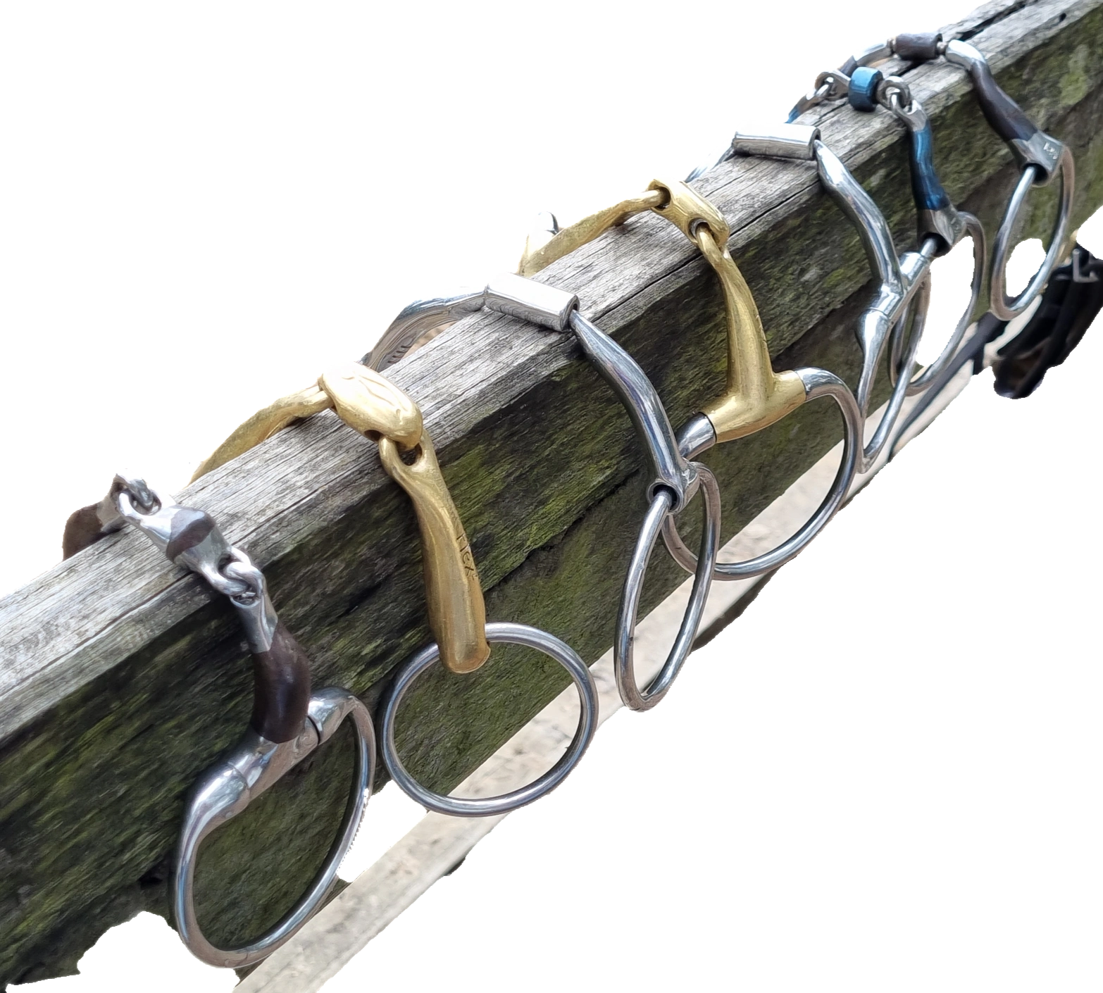 The Right Fit Equine Bit Fitting