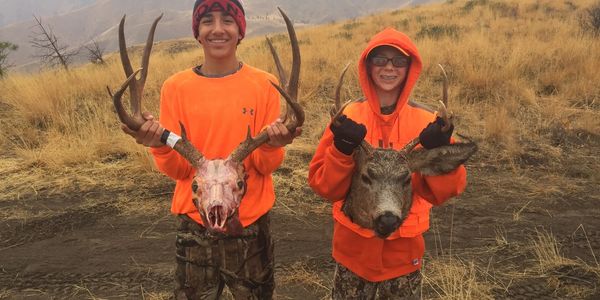 Oregon Mule Deer Hunting