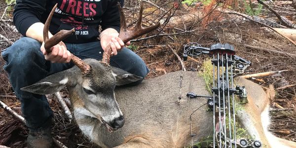Oregon Blacktail Deer Hunting | Upfront Outfitters