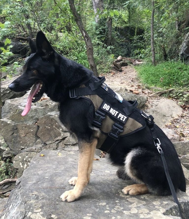 First State K9 - Dog Equipment, Pet Supplies, K9 Equipment