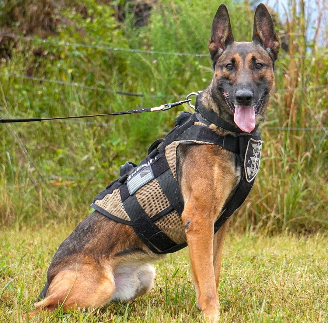 First State K9 - Dog Equipment, Pet Supplies, K9 Equipment