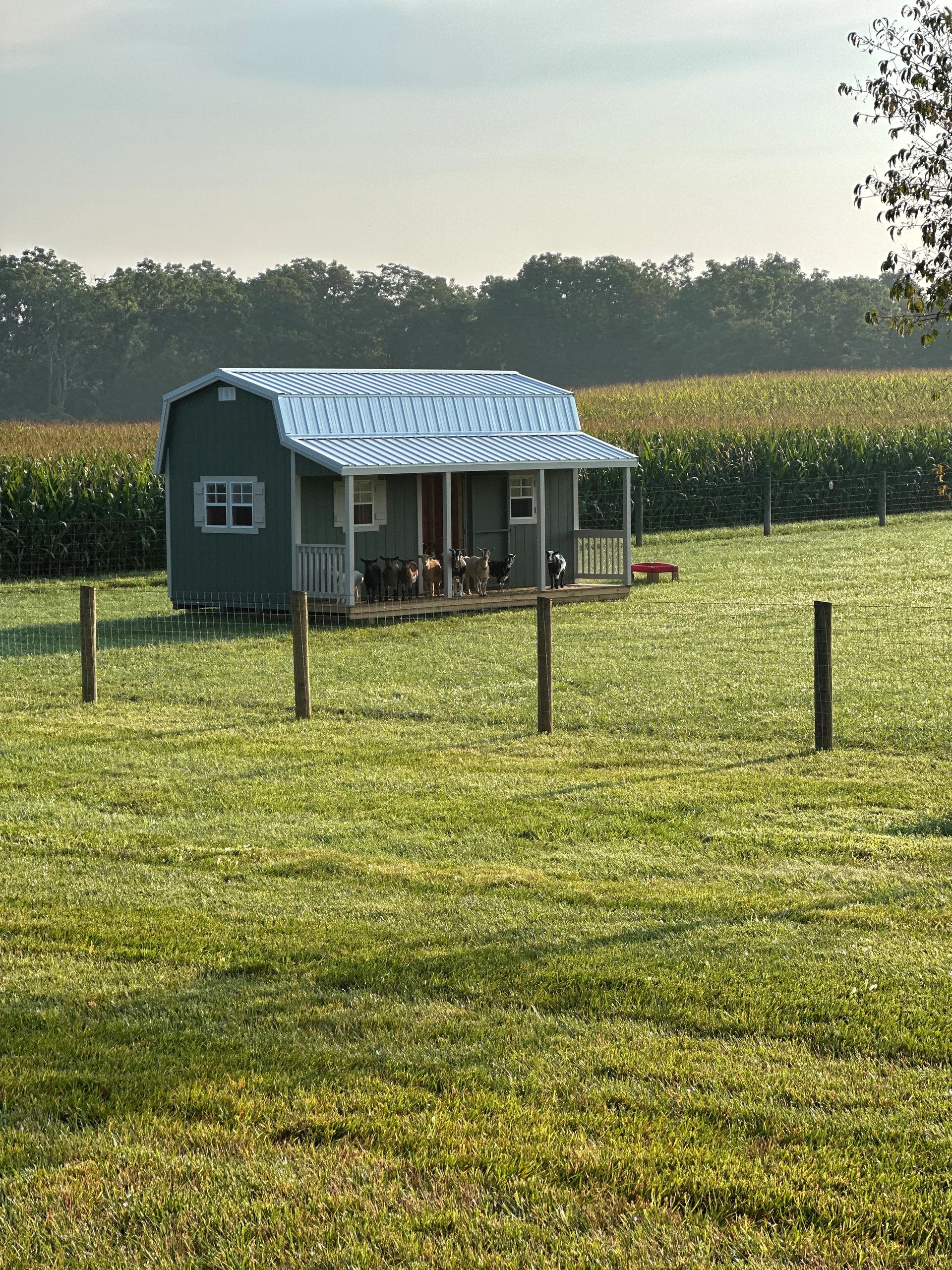 Goat Yoga - Let It All Goooat @ Hardy’s Holloway Hills