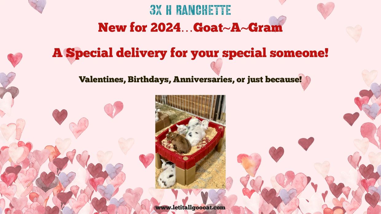 Goat Yoga - Let It All Goooat @ Hardy’s Holloway Hills