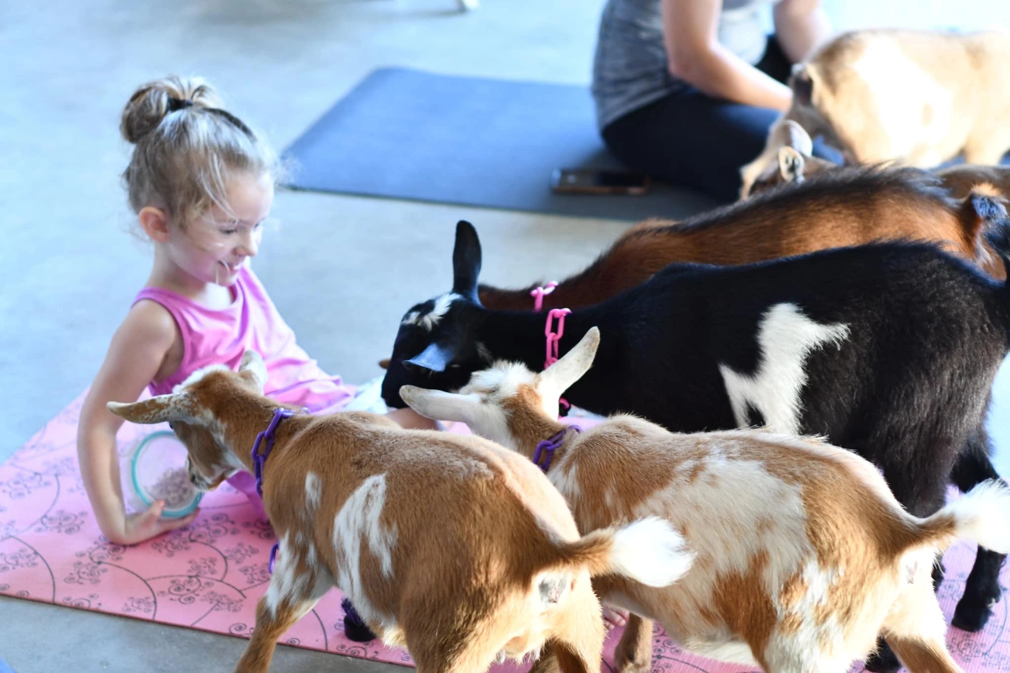 Goat Yoga - Let It All Goooat @ Hardy’s Holloway Hills