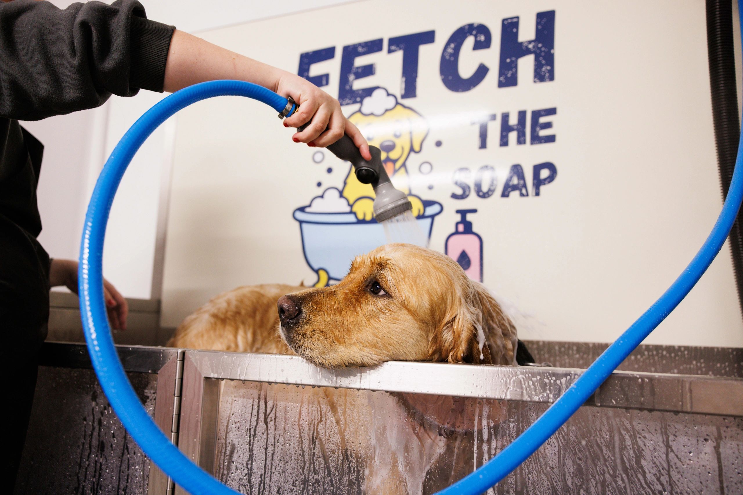 Self Serve Dog Wash - The Stress Free Mess Free Way