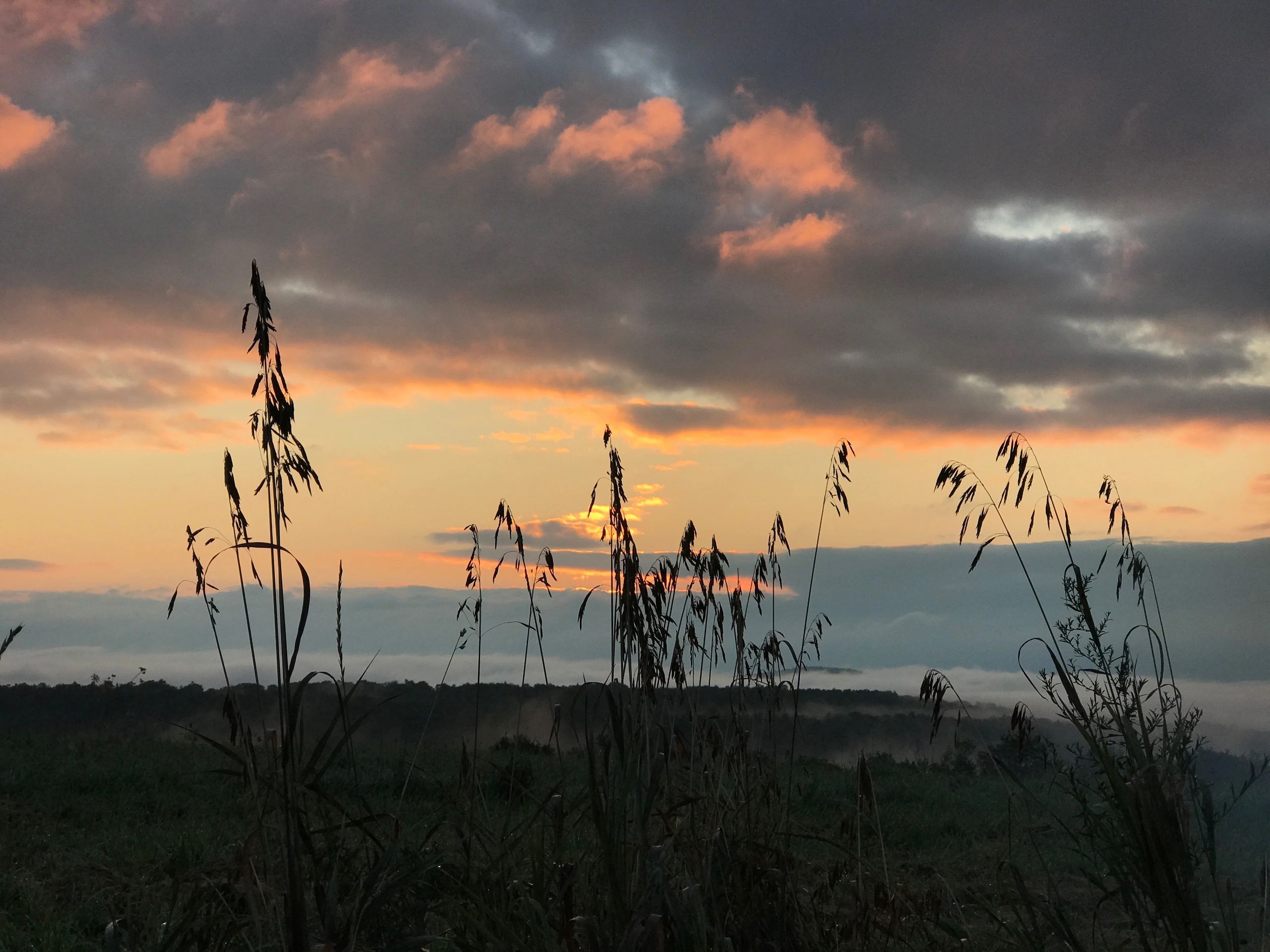 Kirsten A Reynolds Photography