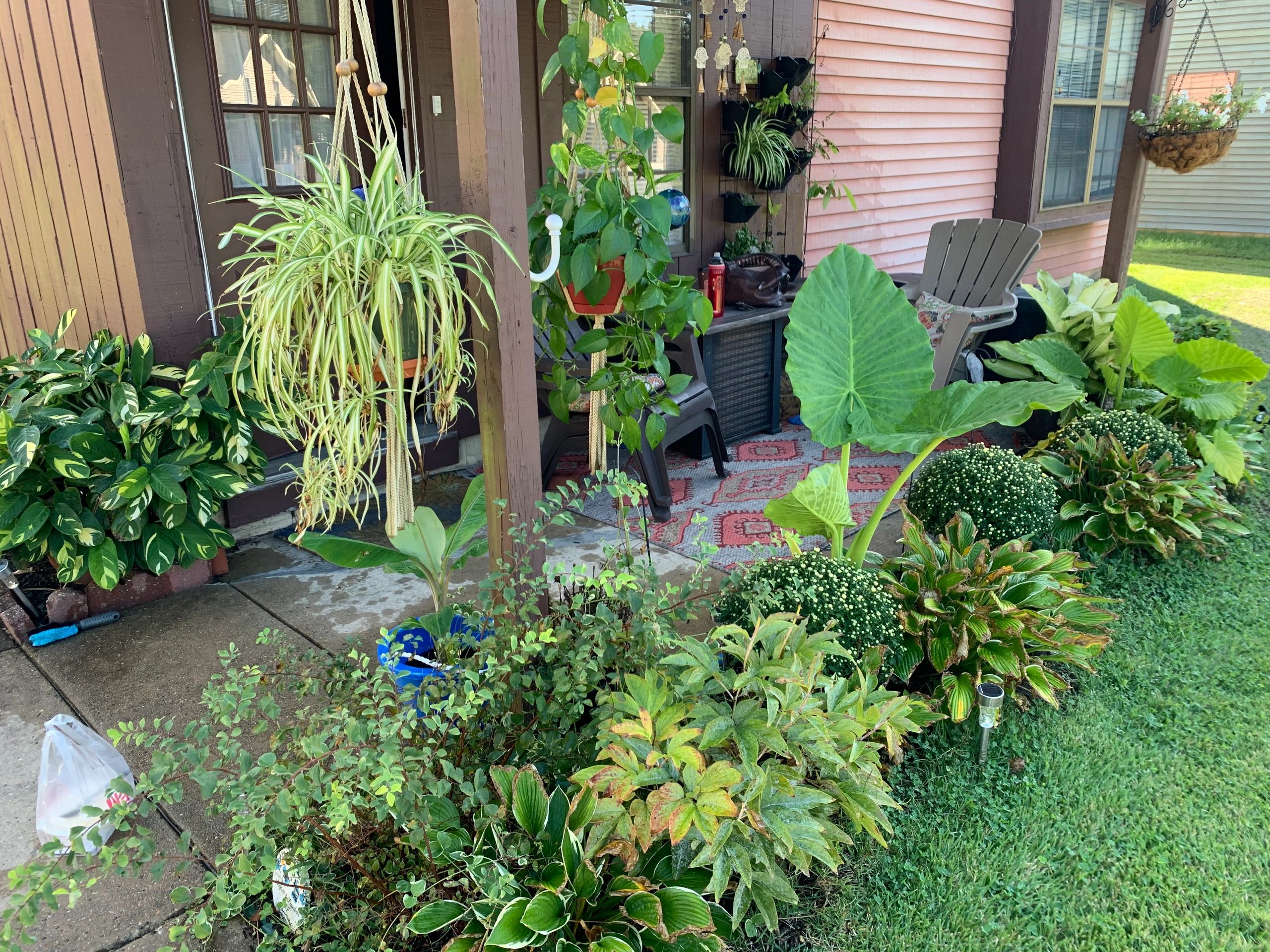 The Gypsy Garden - Mobile Custom Container Garden, Window Boxes