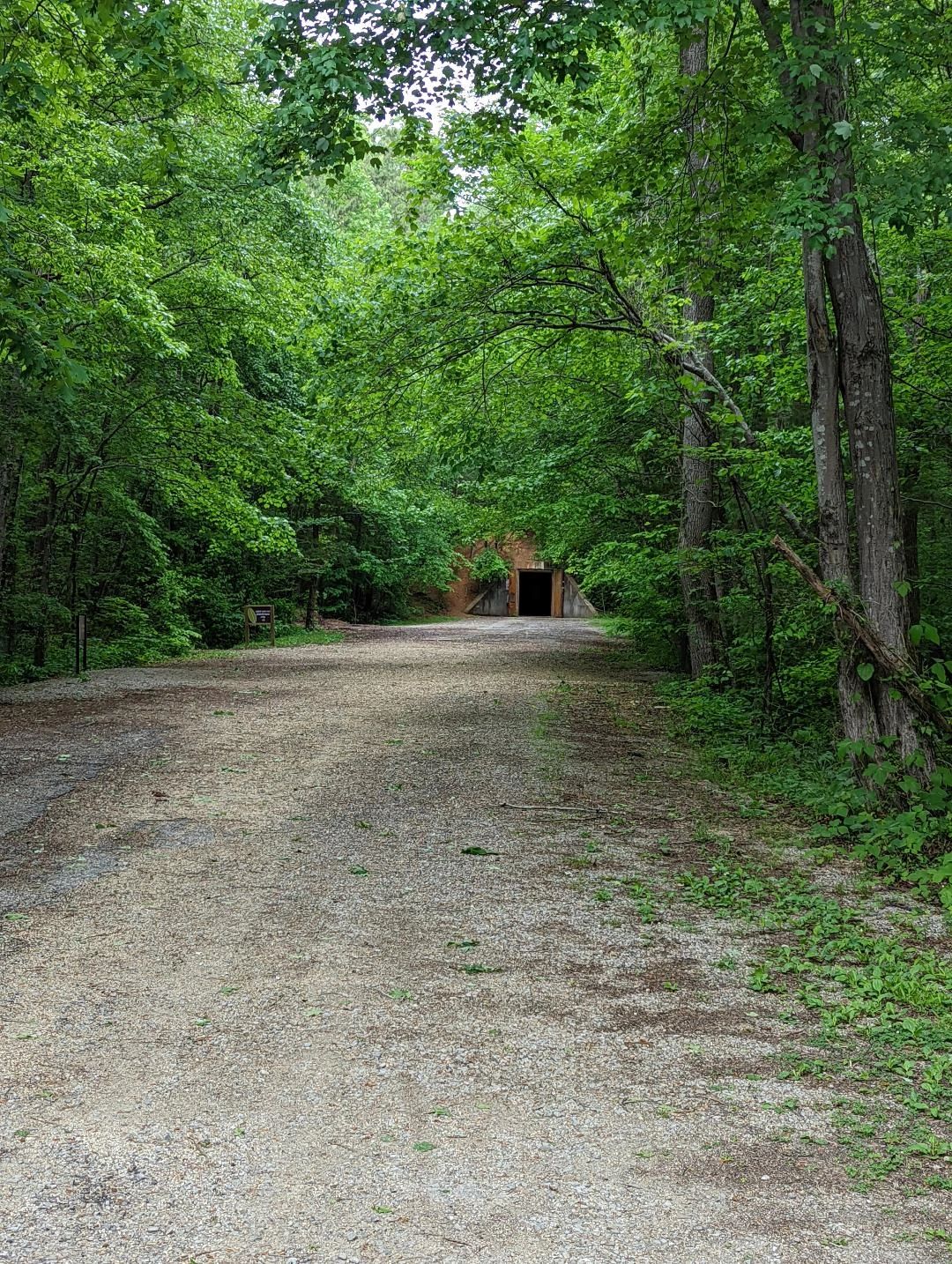 Running With Nature: Exploring Enterprise South Nature Park
