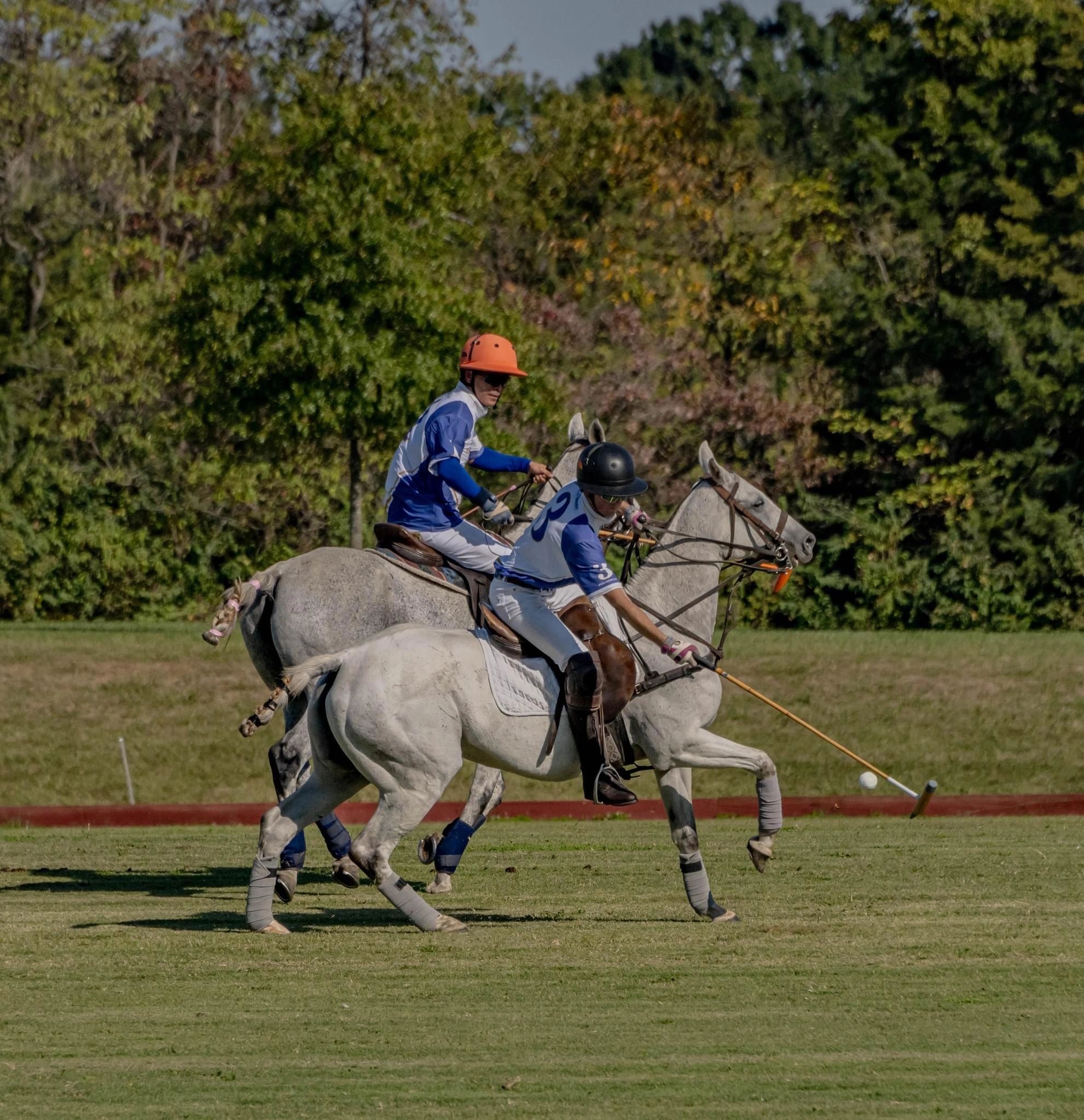 Thor Bay Polo & Stable