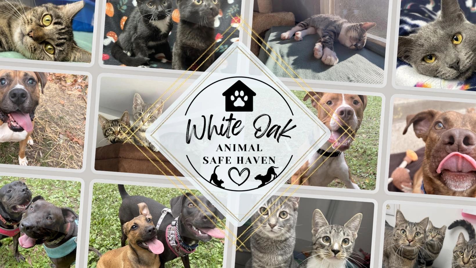 White Oak Animal Shelter