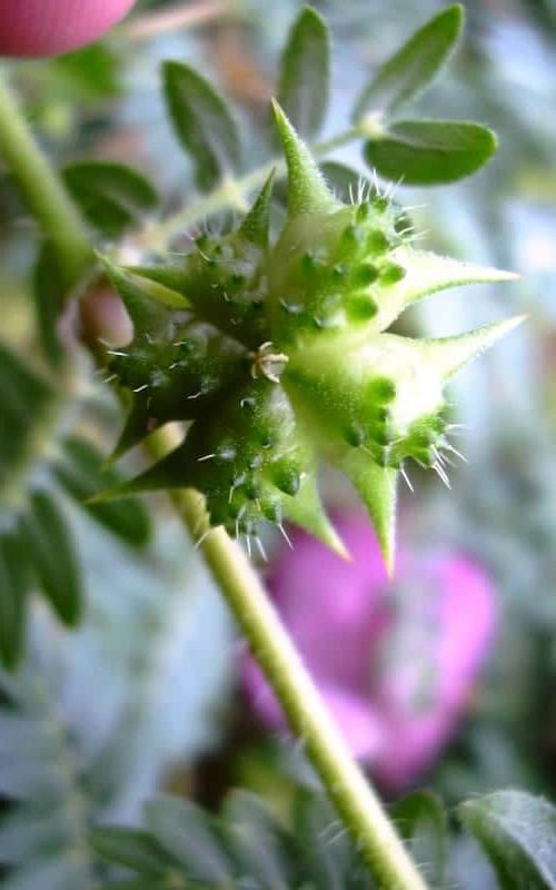 Product Development Quest