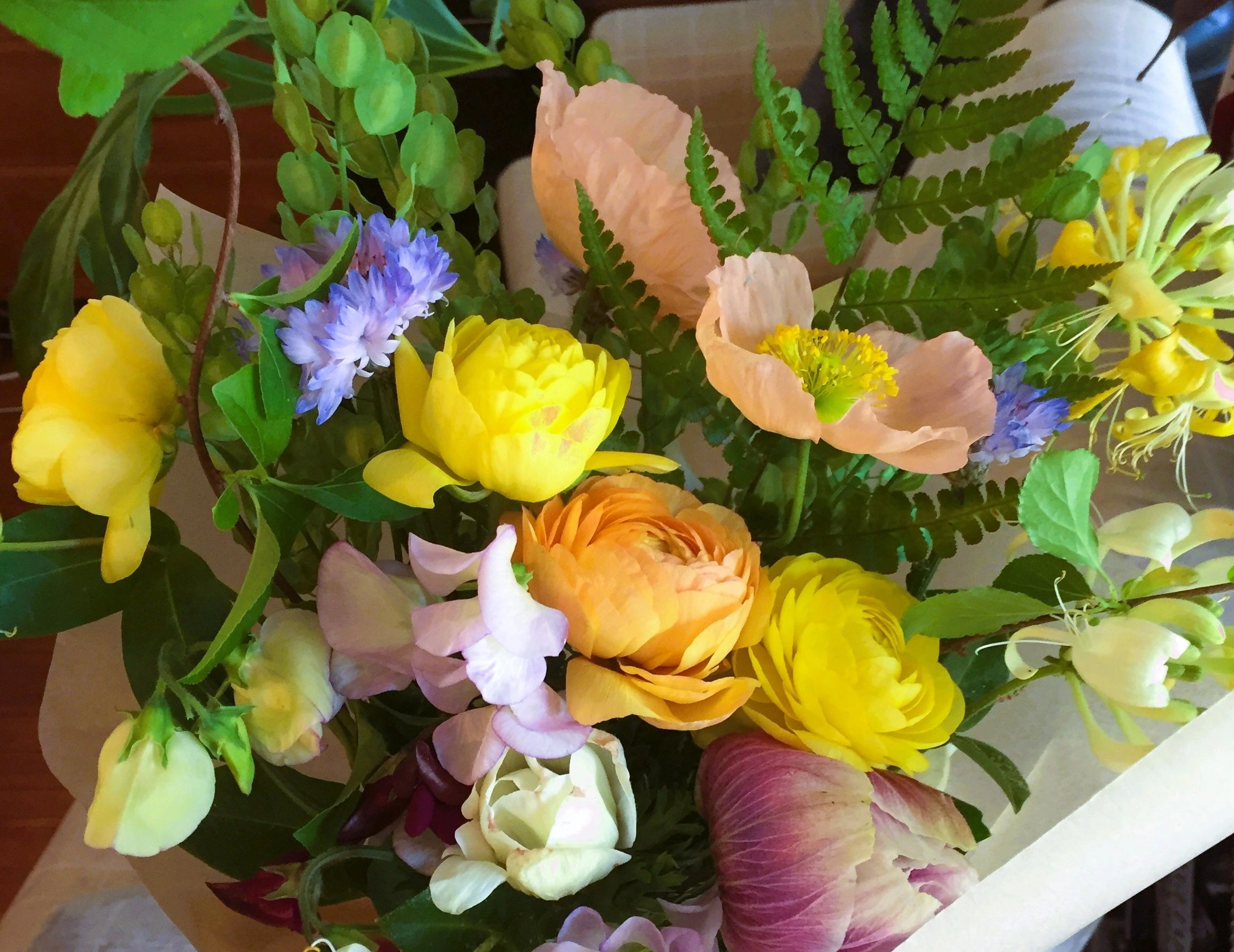 Belle Botany website