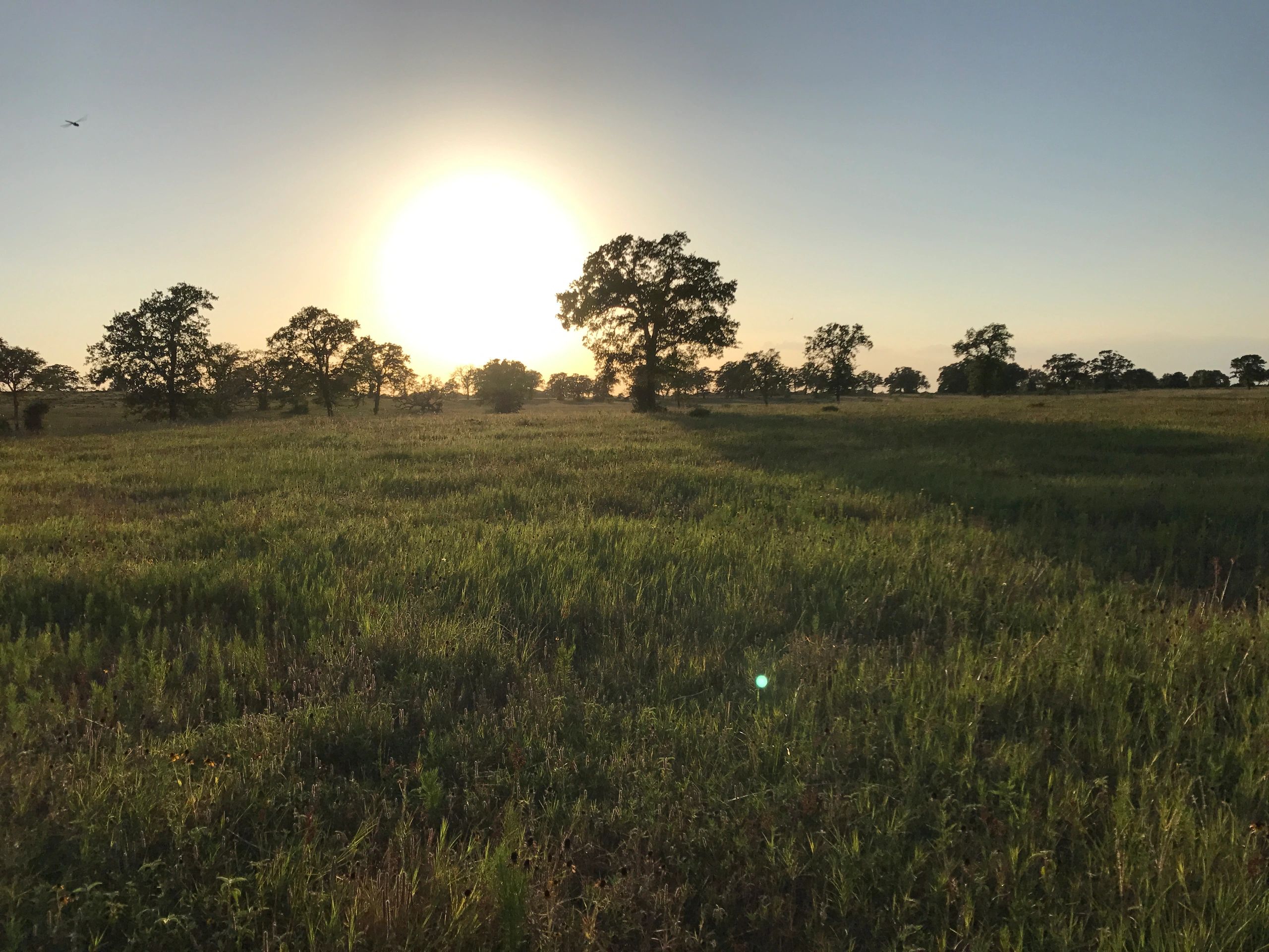 Meuth Custom Services