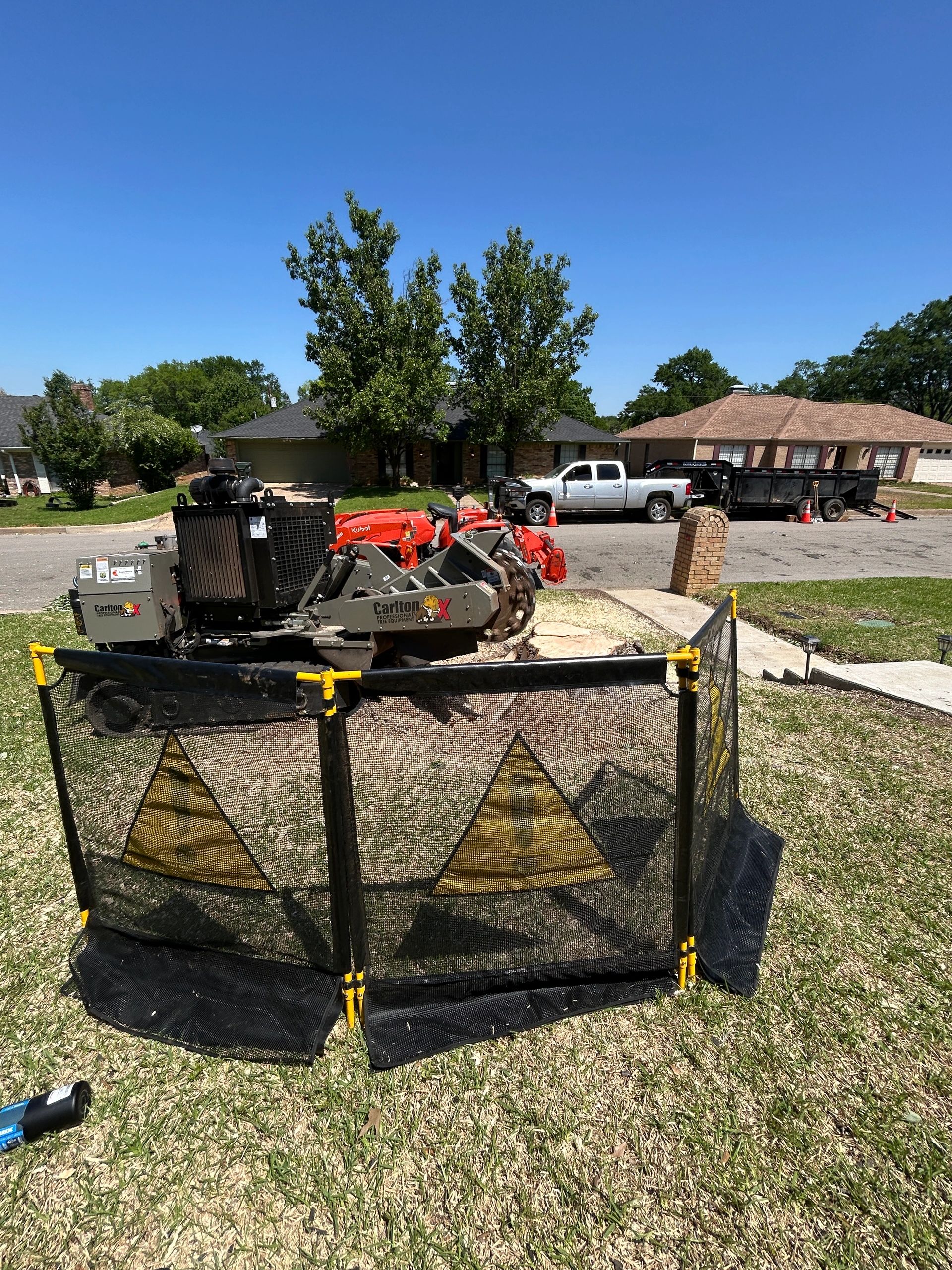 Expert Tree Service in Tyler - Stump Removal & More