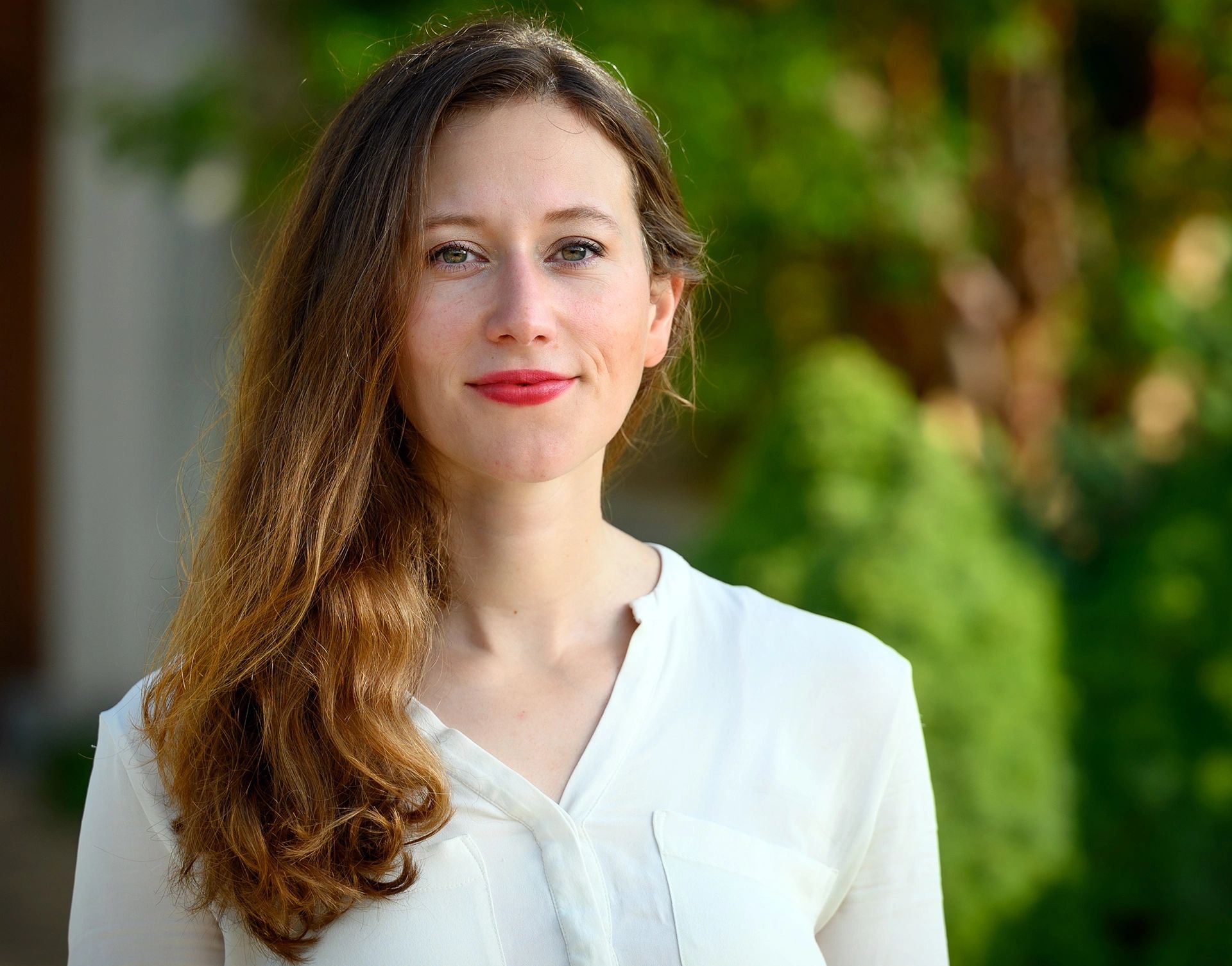 Institutional background