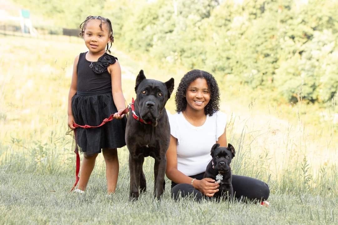 Currie Farms Cane Corso