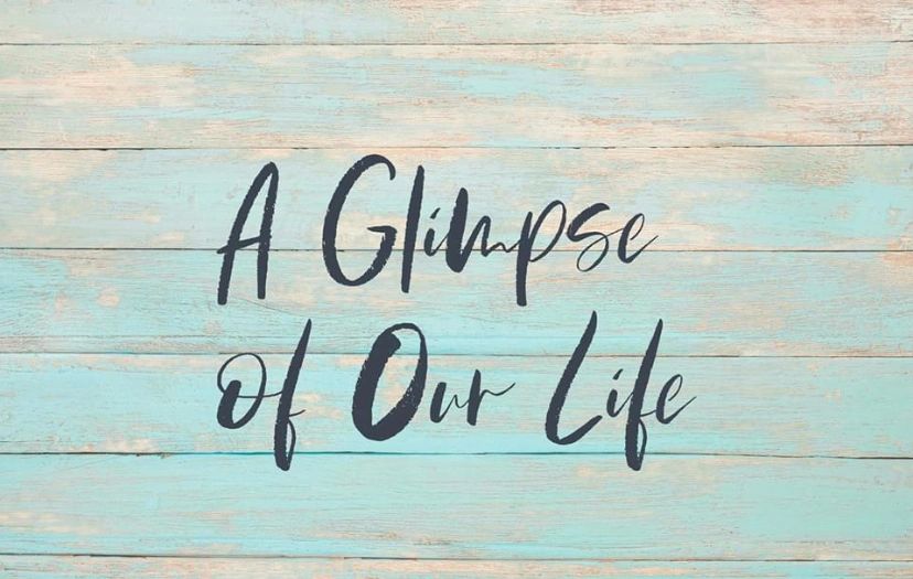 A Glimpse Of Our Life