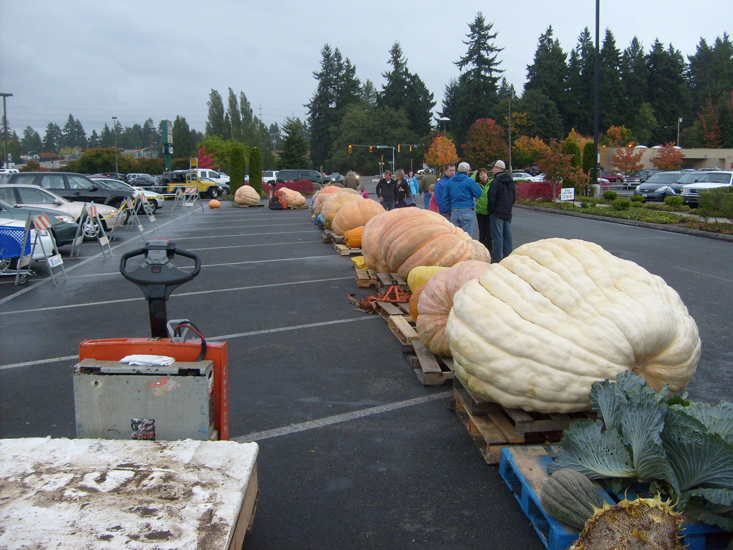 Pacific Northwest Giant Pumpkin Growers