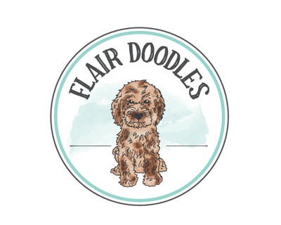 Find Your Perfect Goldendoodle Puppy at Flair Doodles
