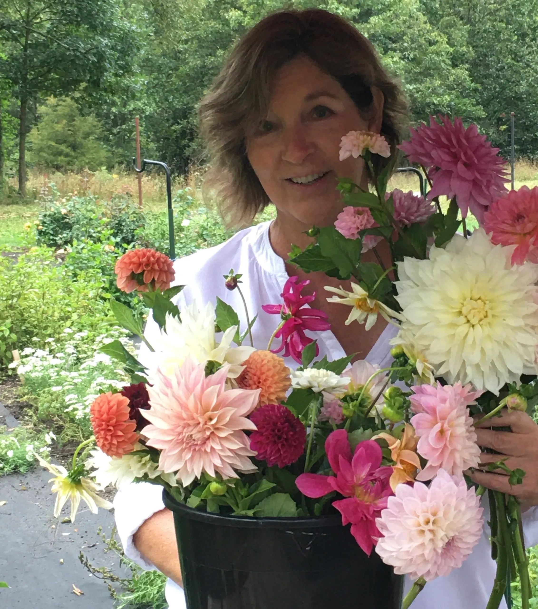 Schoolmaster Clipart Of Flowers