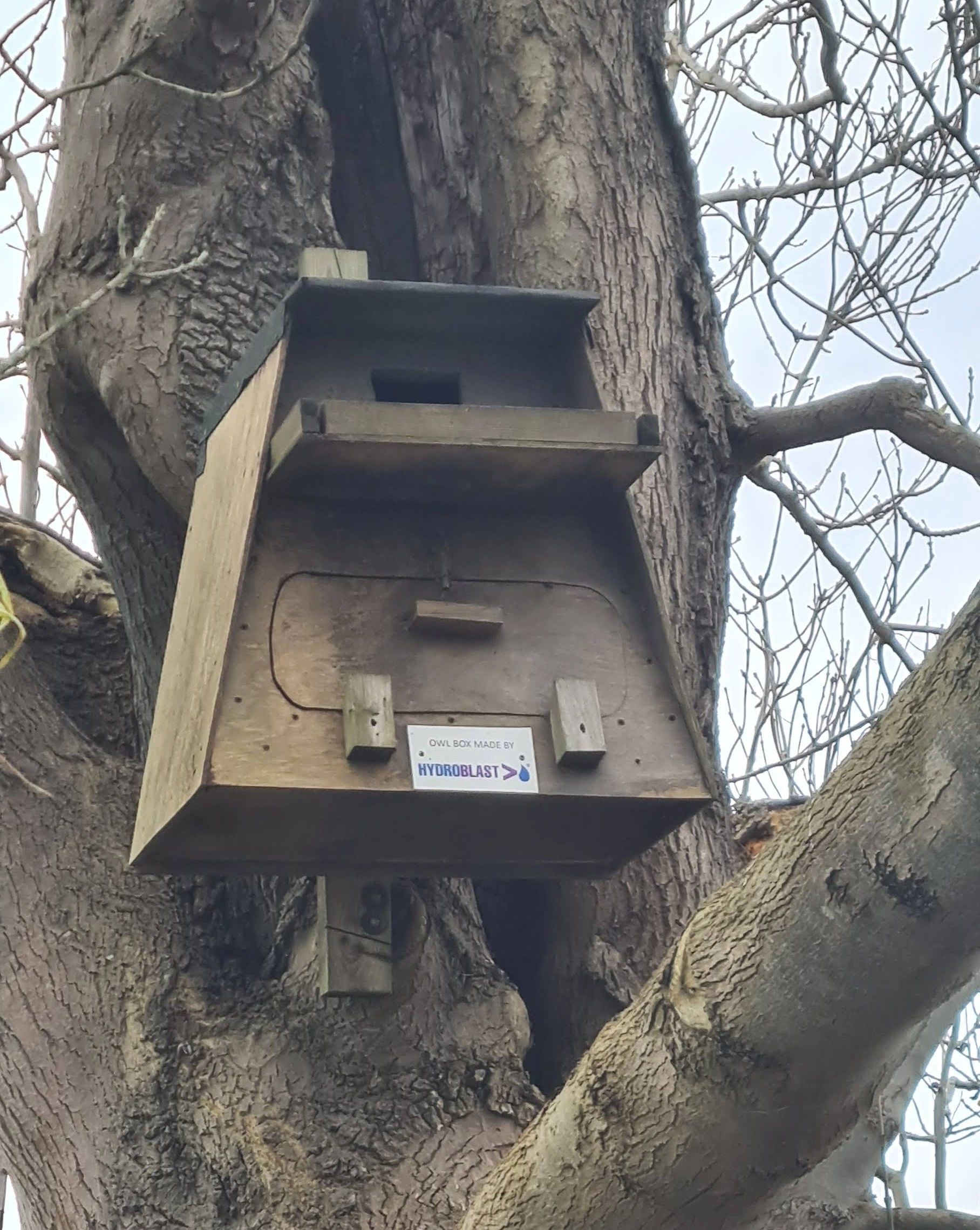 Supporting River Wildlife: Our Bird Box Project