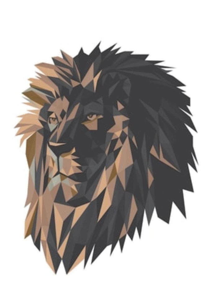 Metal Roofing Systems | Lyon Metal Roofing LLC