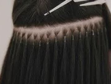 Extensions