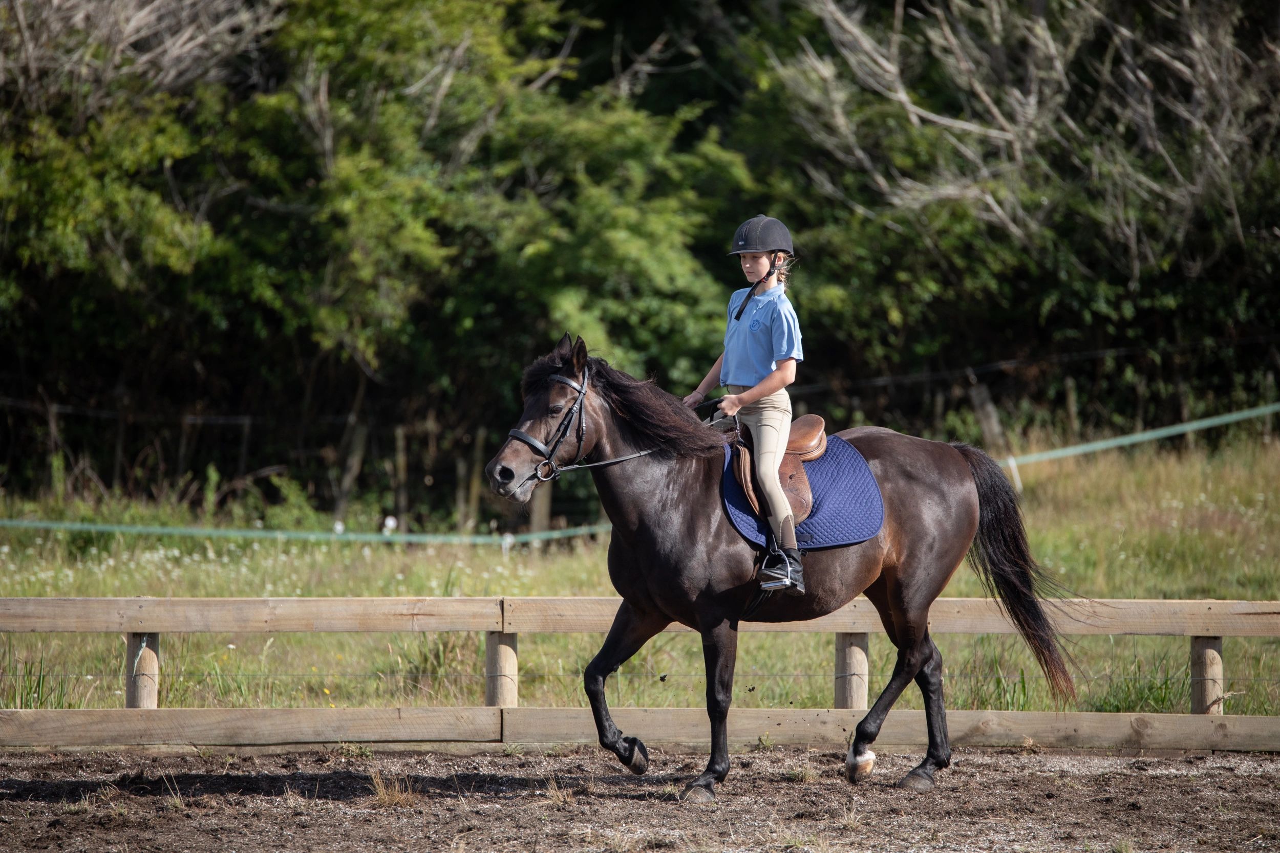 Southstar Equestrian