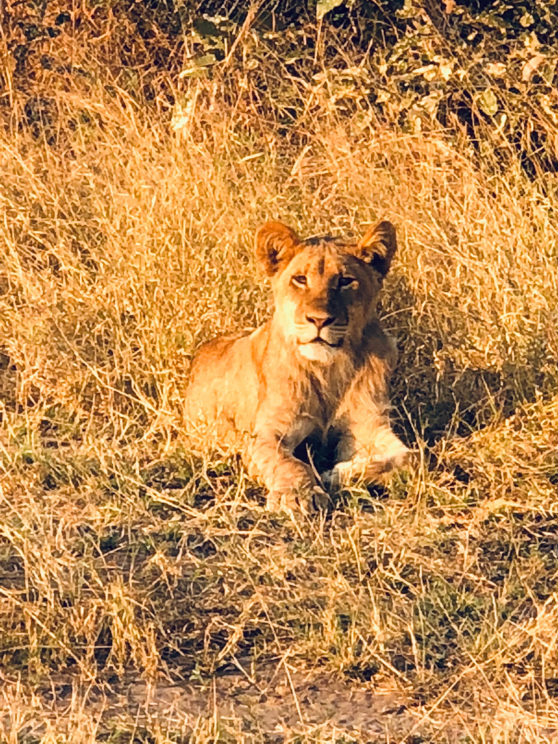 Is Flexibility Misunderstood