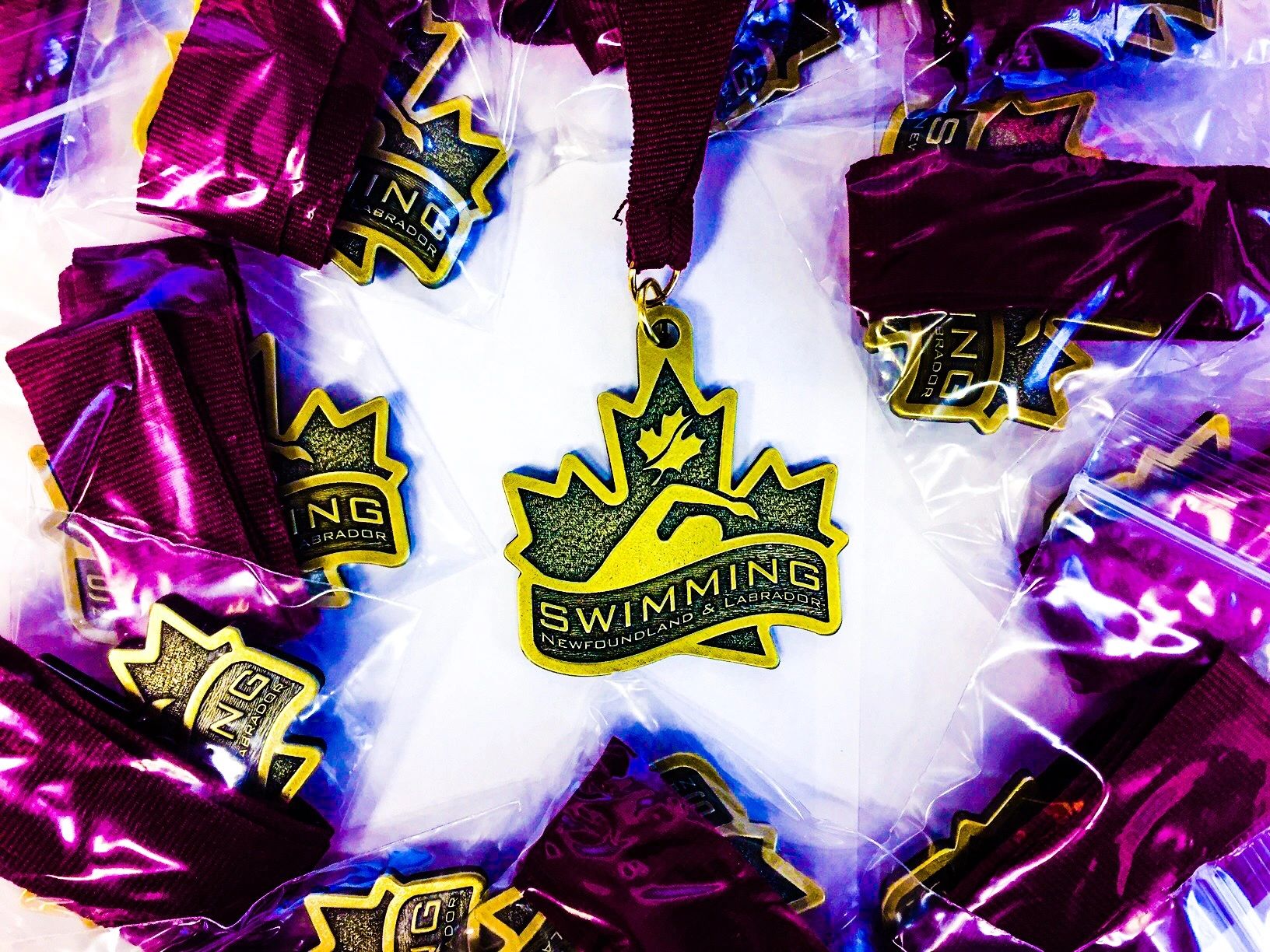 Swimming Newfoundland and Labrador