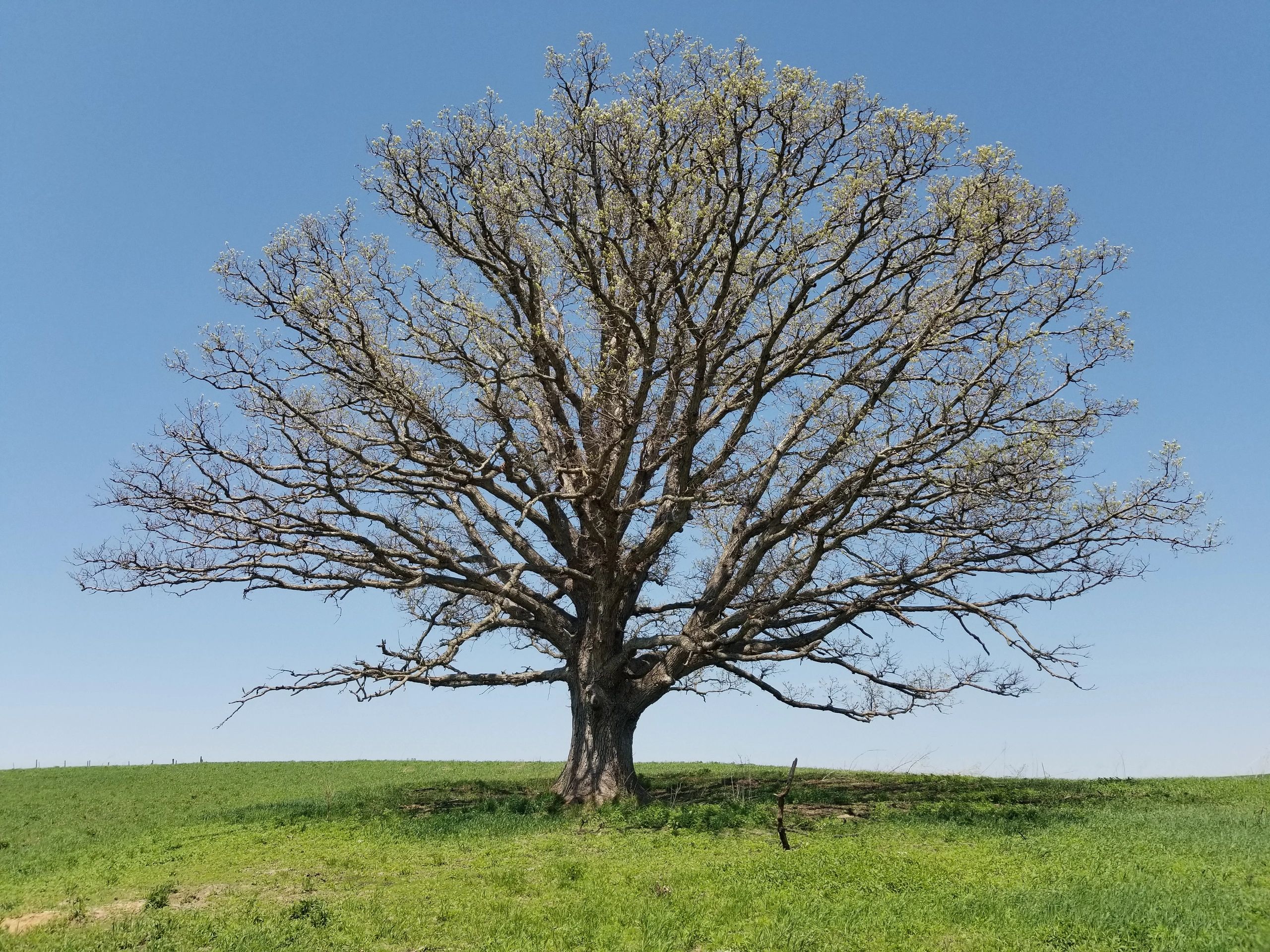Edge Ecosystems - Home