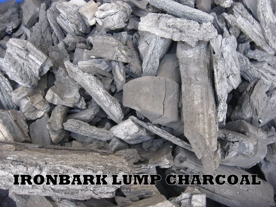 Charcoals and Scoops