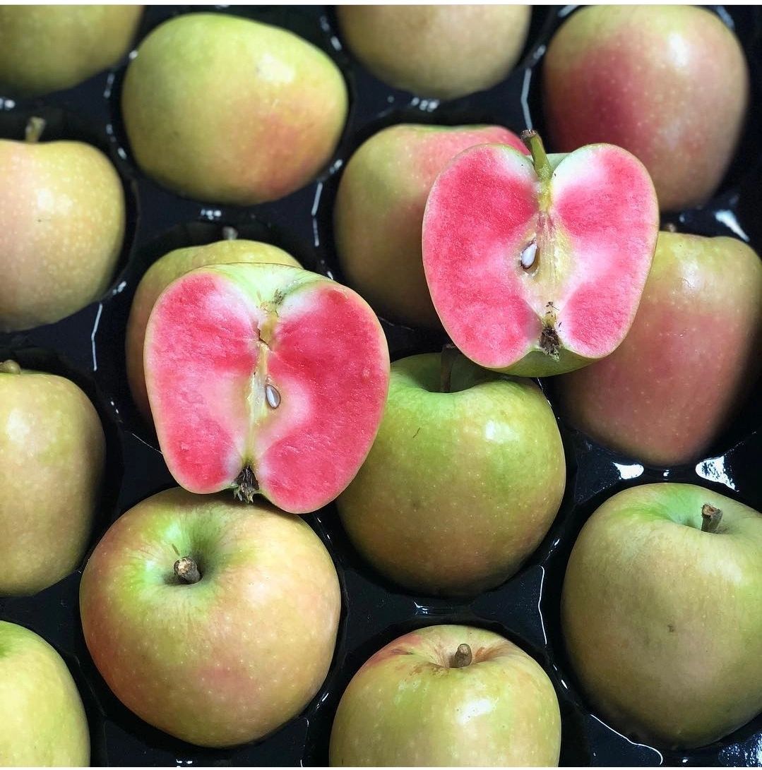 What's Good Produce - Produce Wholesaler, Produce, Vegetables