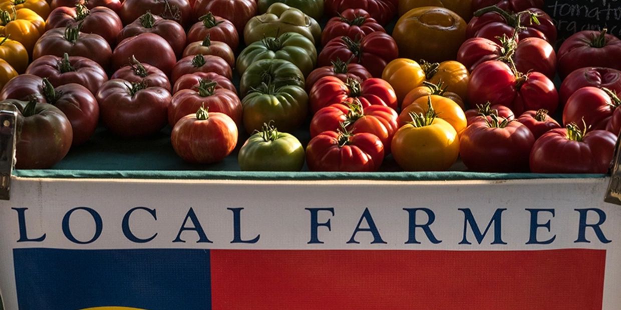 What's Good Produce - Produce Wholesaler, Produce, Vegetables