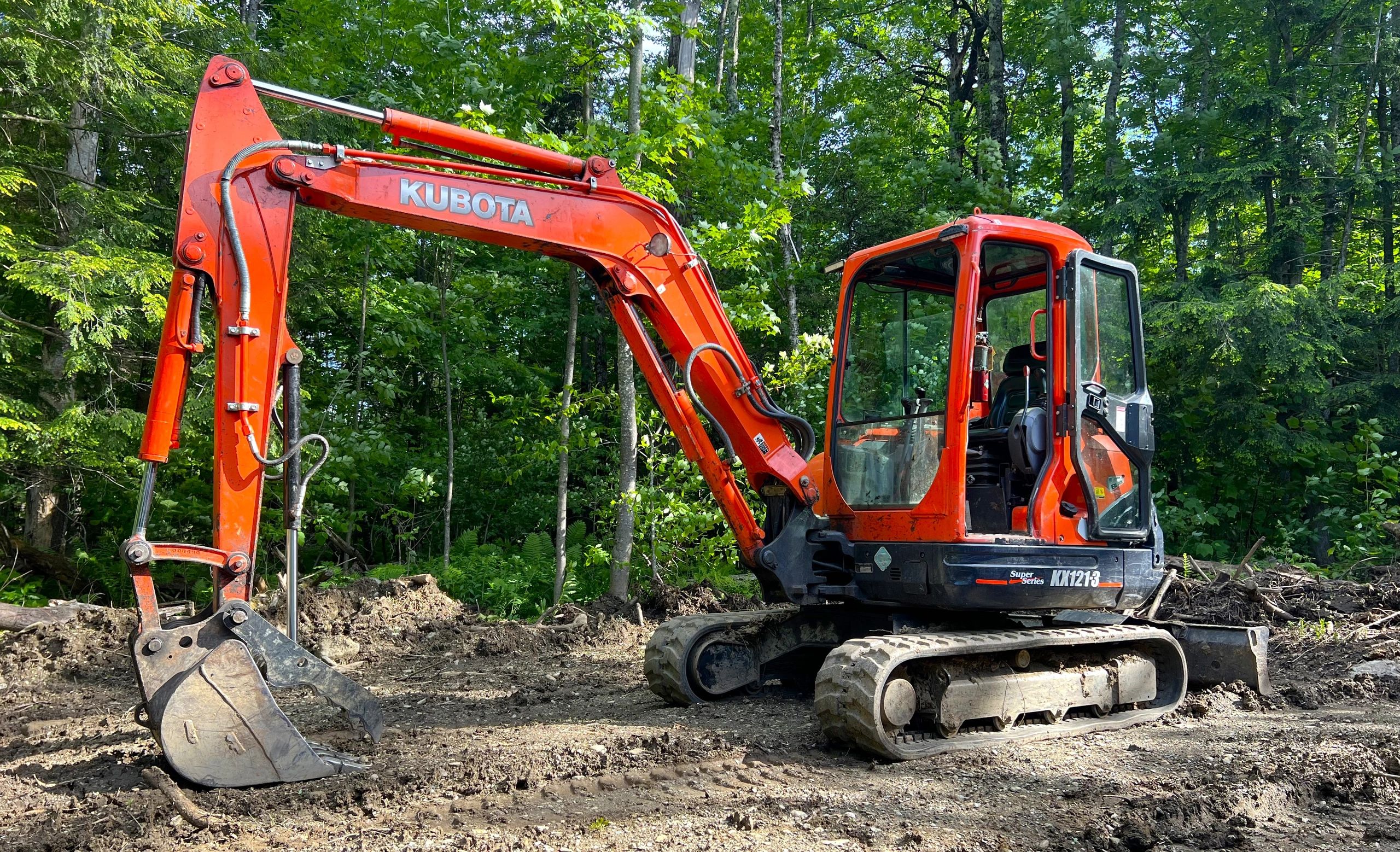 Sabertooth Excavation