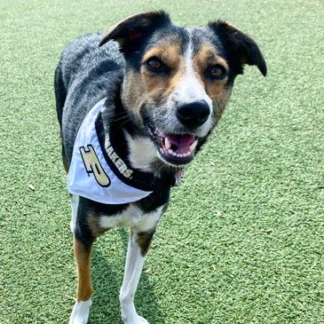 Staff | Purdue Hillel