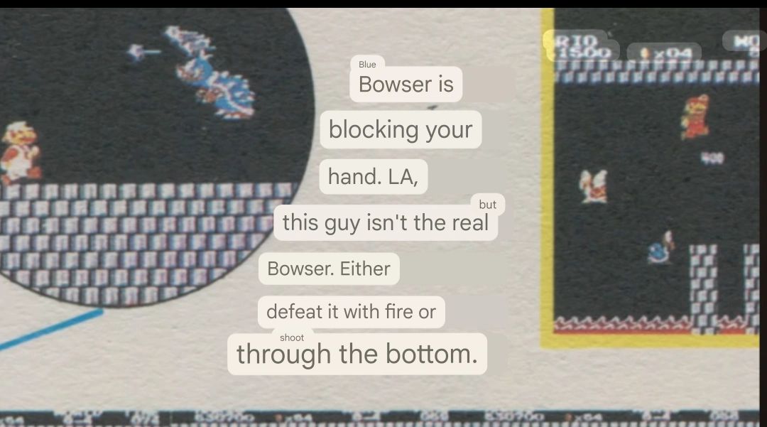 Bowser's Blue Brother