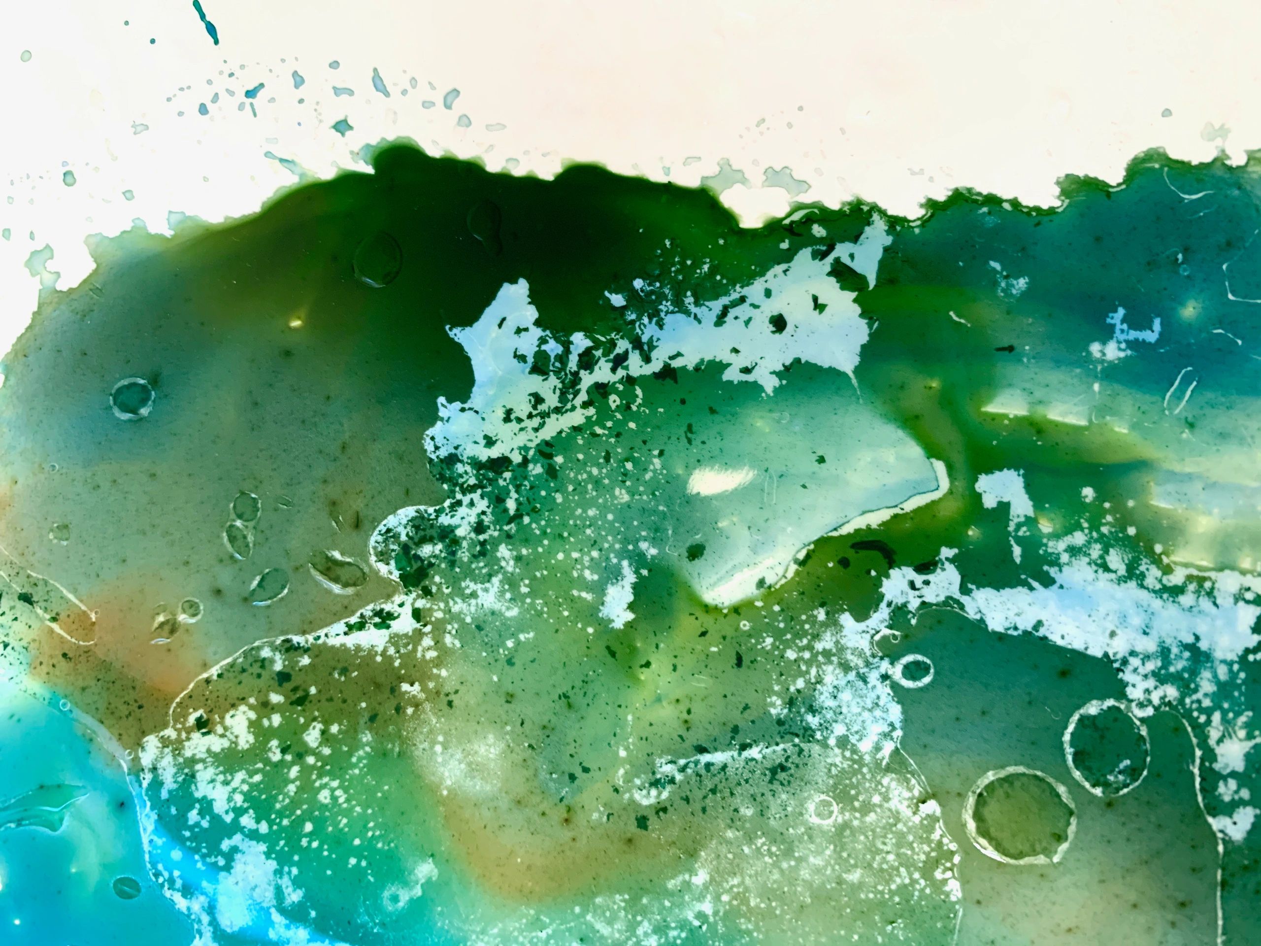 Artist - Deborah Ponder • Paintings and Fine Art Prints