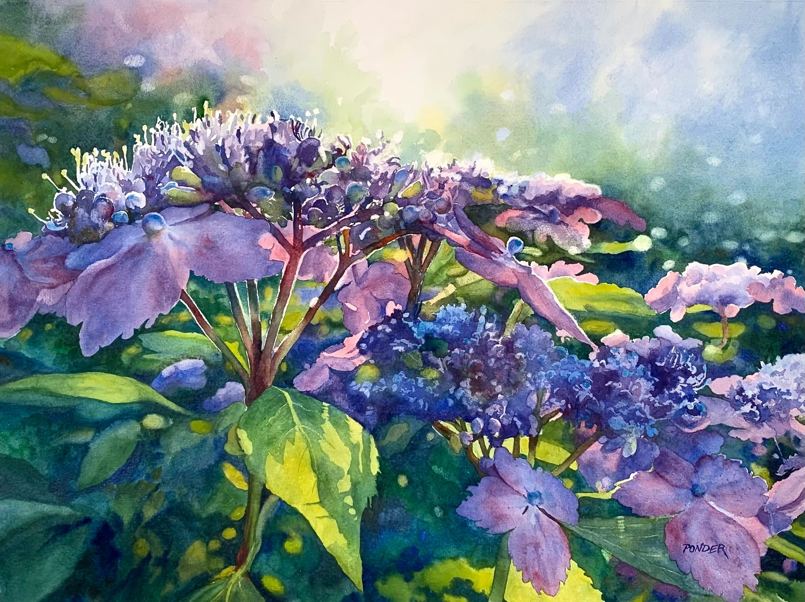 deborah ponder • artist