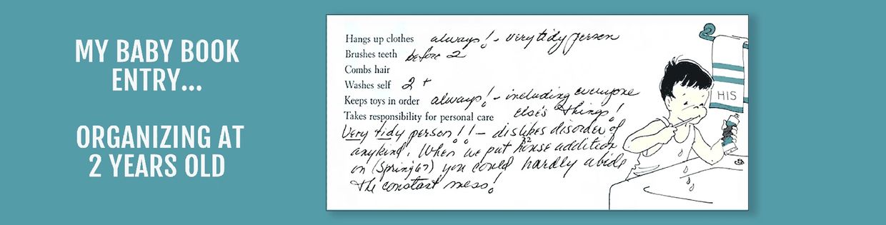 The Organizer Man - Organizing, Coaching