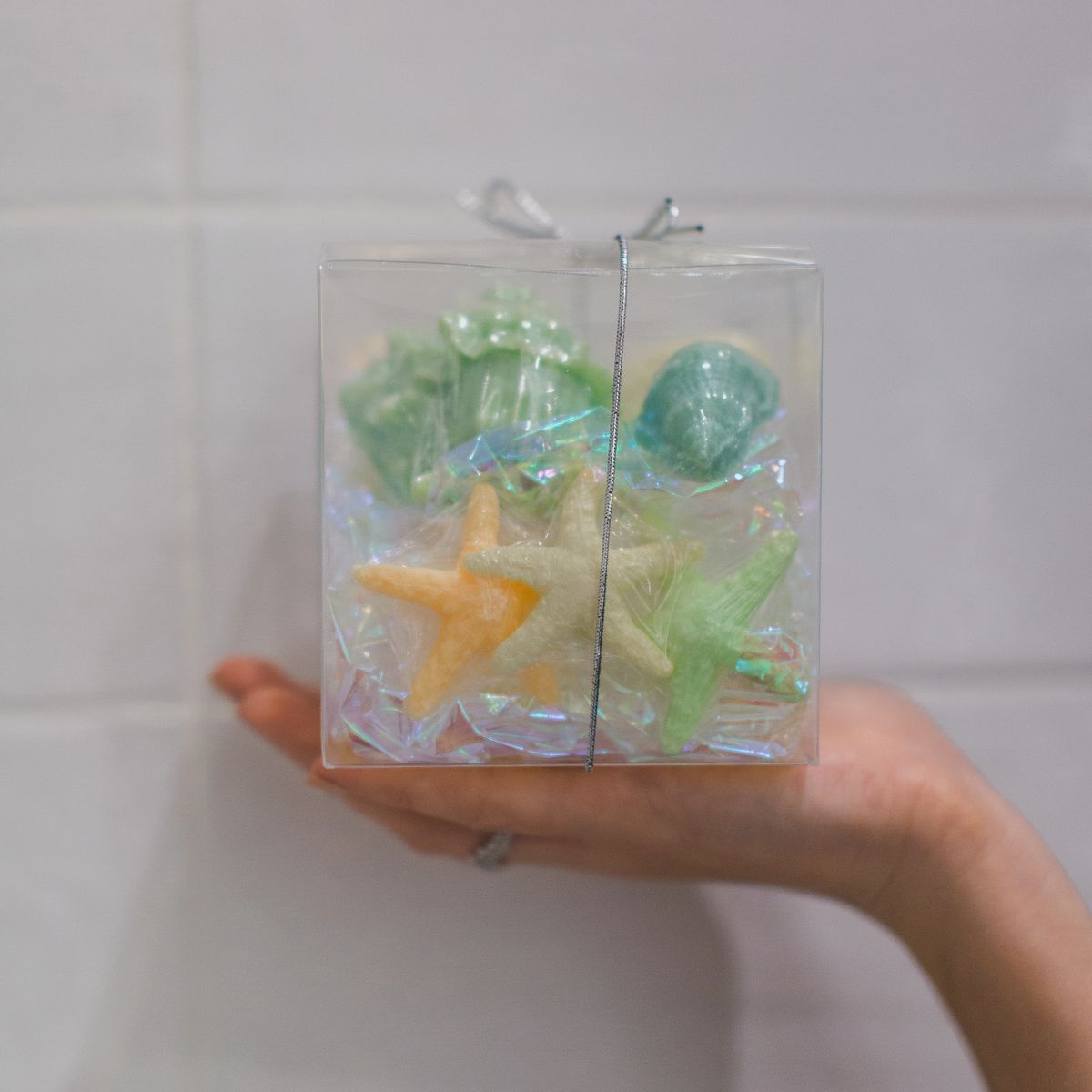 Designer Collection: Shell box