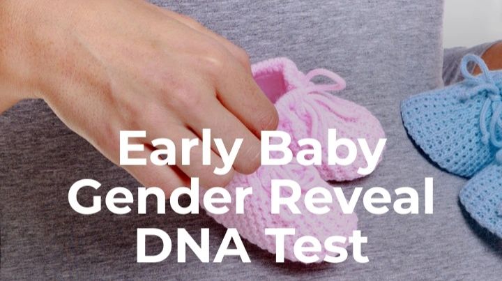 Early Baby Gender Reveal DNA Test