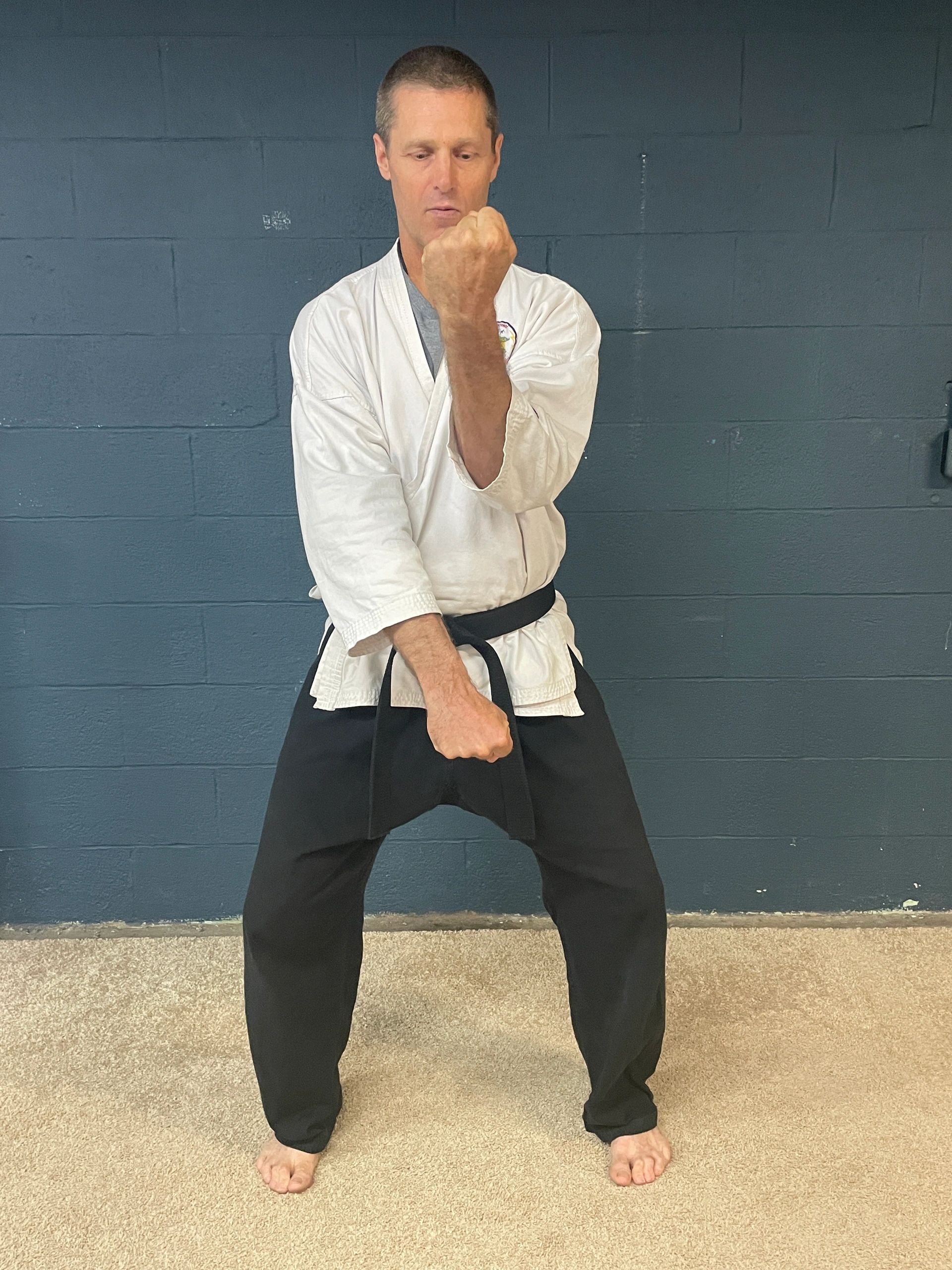 Kokoro Karate