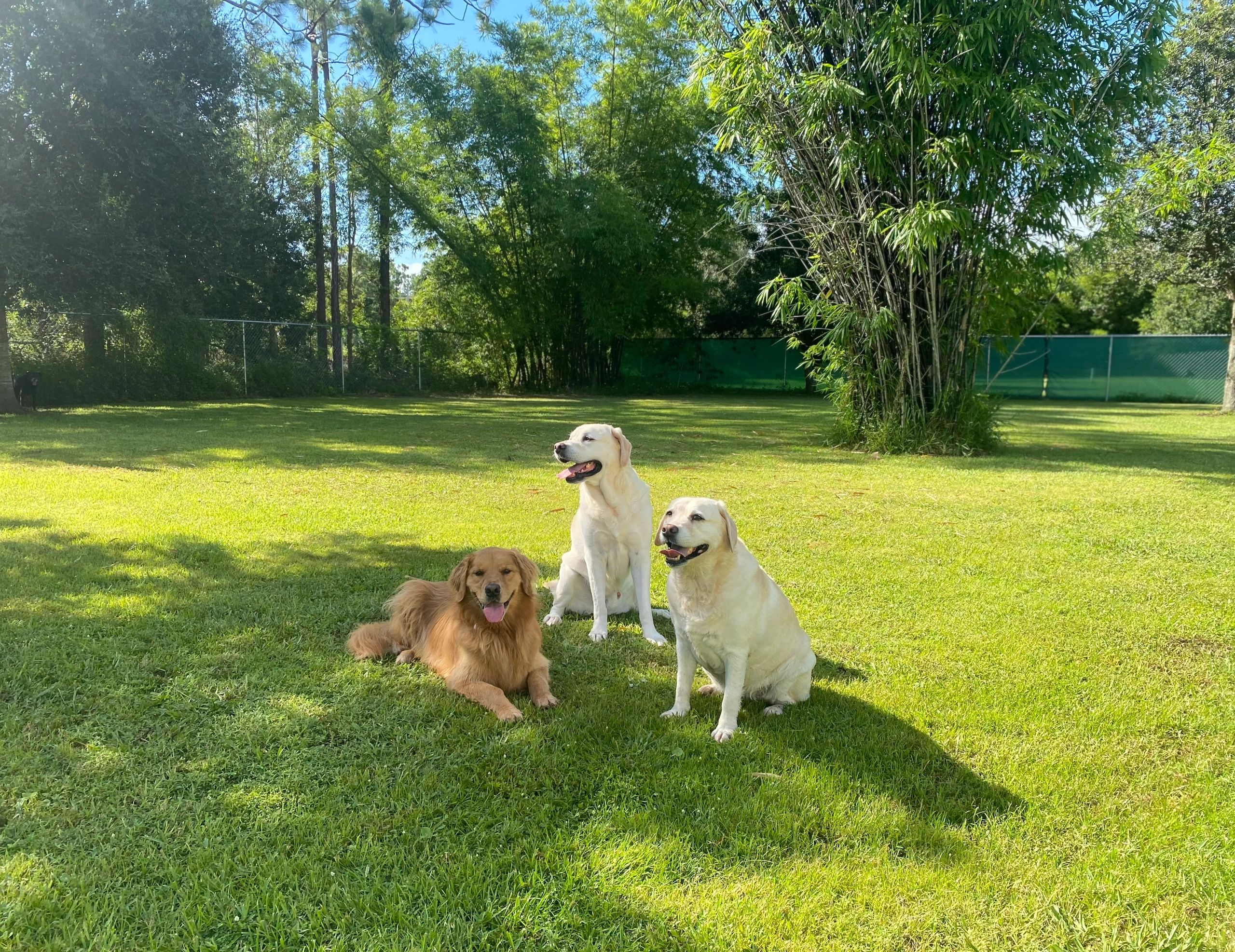 Happy Paws Ranch - Overnight Boarding, Dog Boarding, Pet Sitting