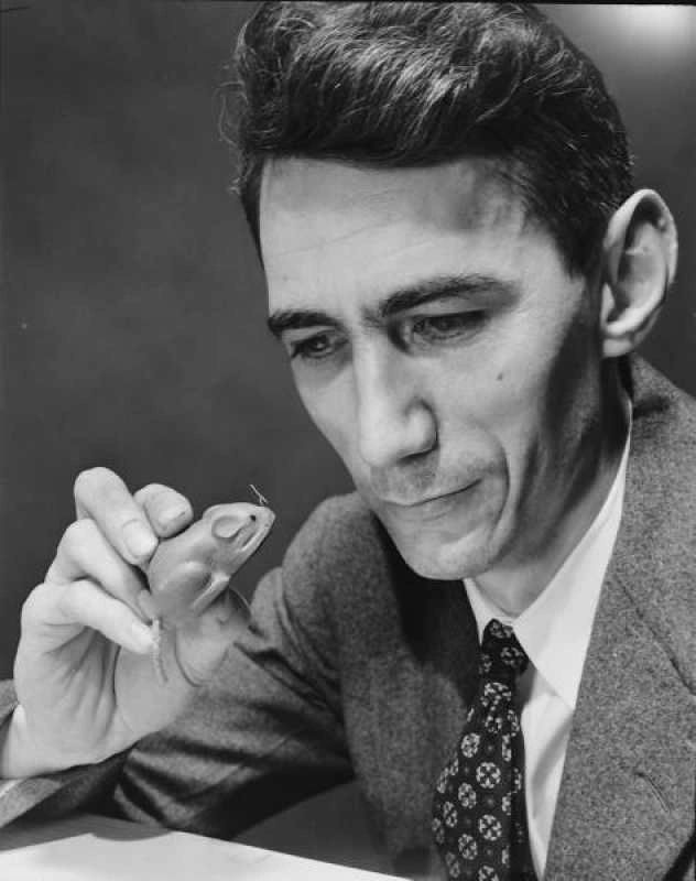 Claude Shannon & Cryptography Part 1