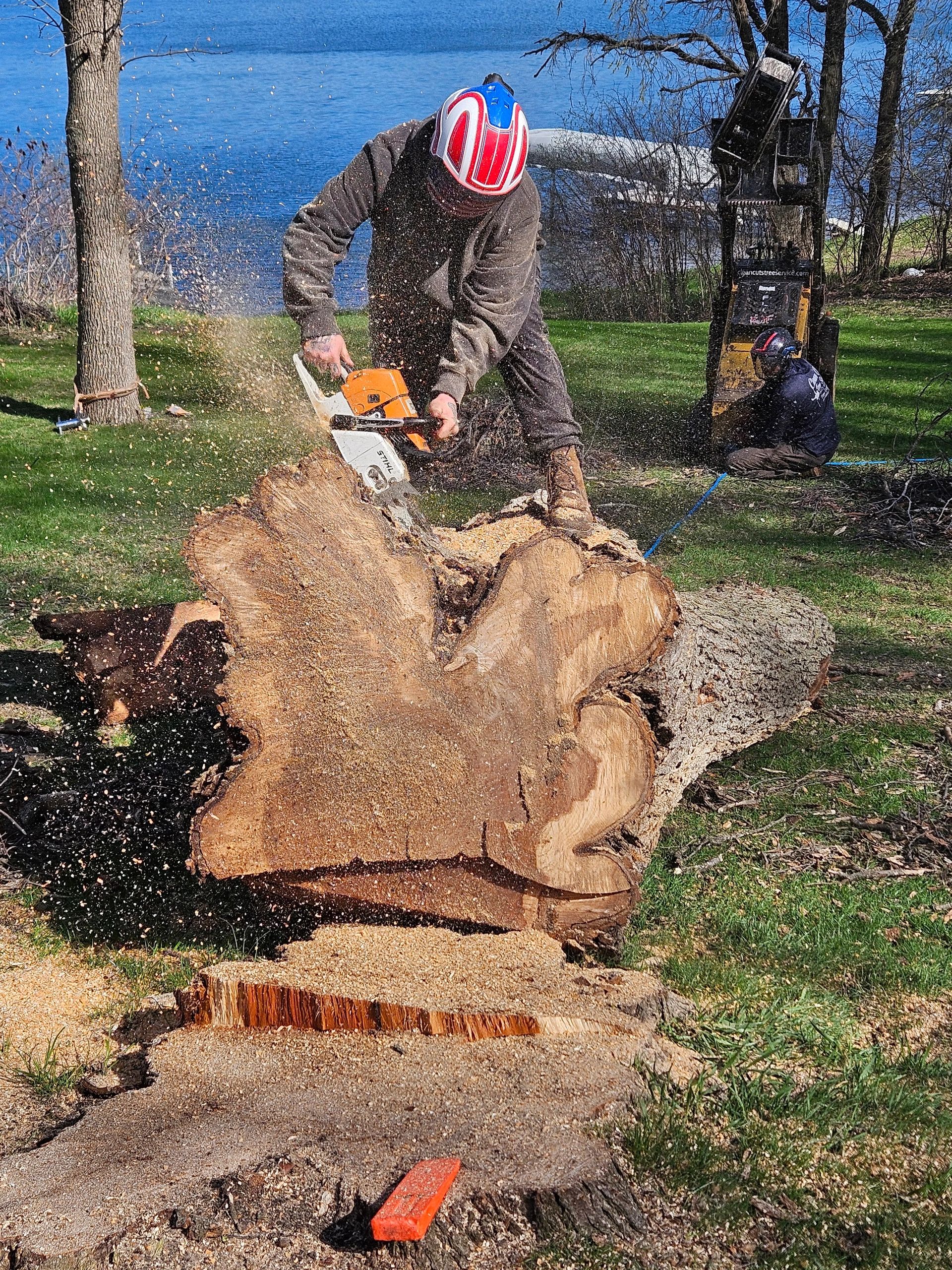 Professional tree service clean Cuts Tree Service